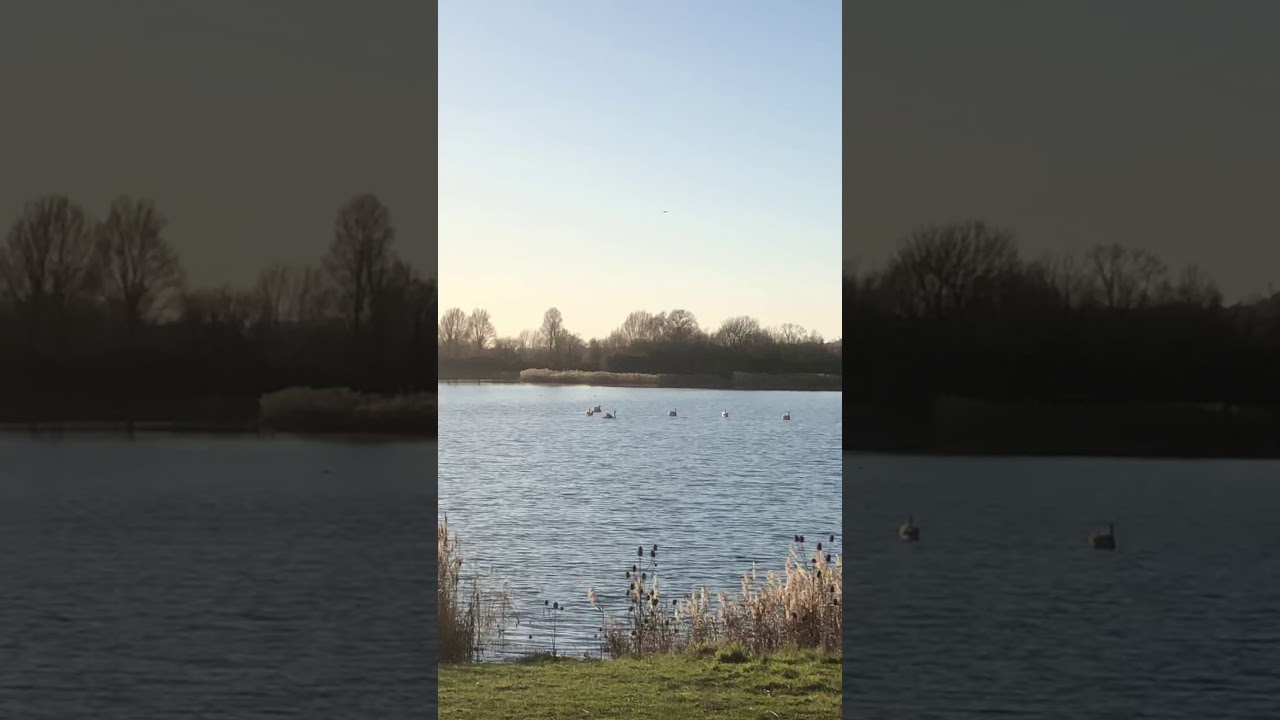 Stanwick Lake England 2019!!! - YouTube