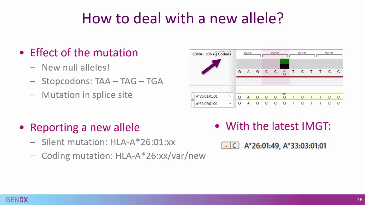 1902 How to deal with a new allele - YouTube