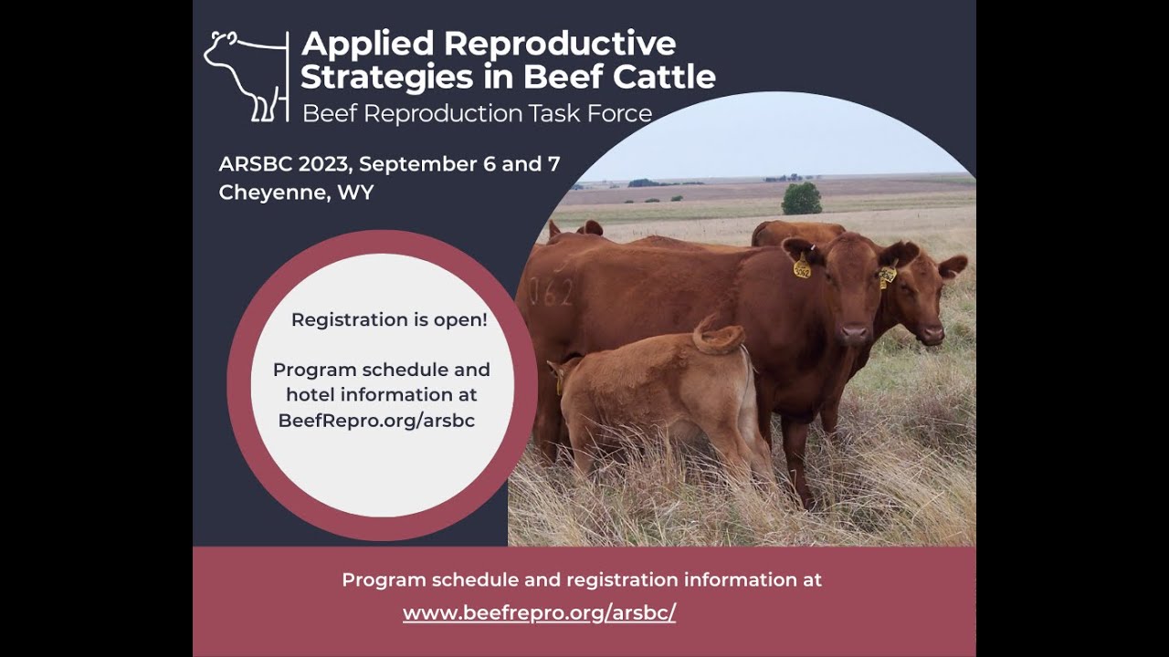 Calving Management: Taking a Systems Approach - YouTube