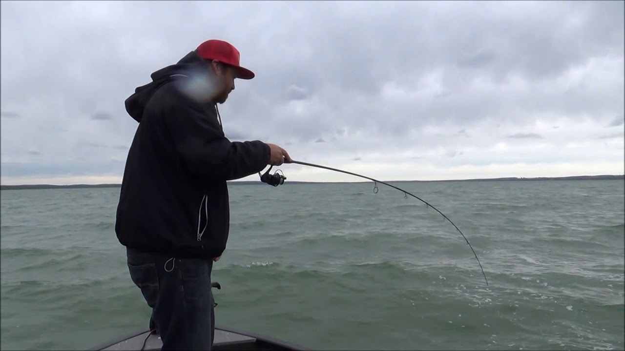 Alberta Walleye fishing Gull Lake - YouTube