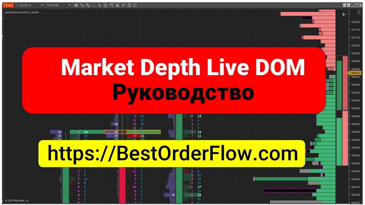 Live Dom NinjaTrader Indicators Orderflow Market Depth and Footprint ...