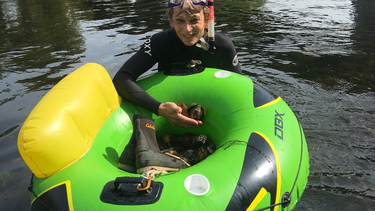 Science Director, Dr. Danielle Kreeger - YouTube