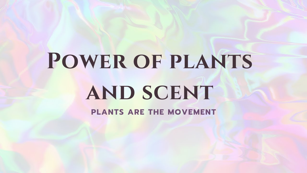 Power of Plants and Scent: Plants are the Movement - YouTube