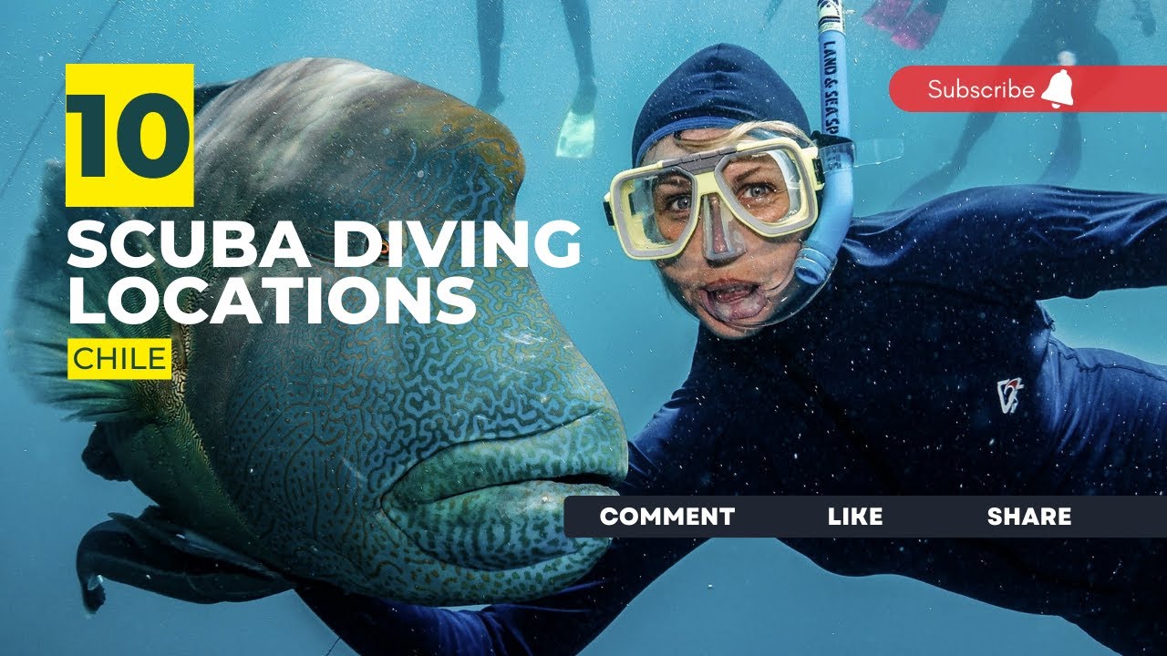 [2023] Chile Dive Sites That Will Blow Your Mind: Our Top 10 Scuba ...