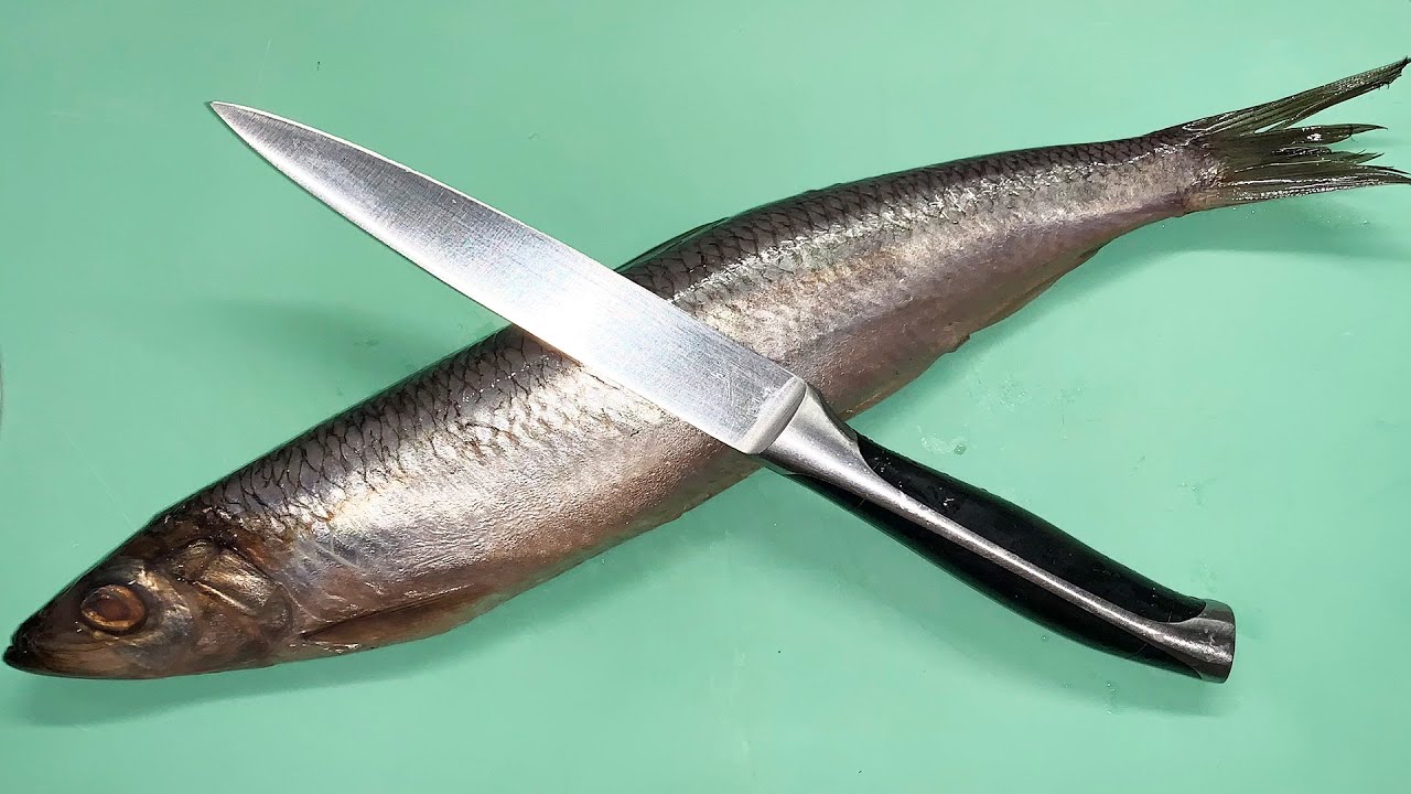 Fast, easy and mess-free! How to clean and fillet shad fish (herring ...