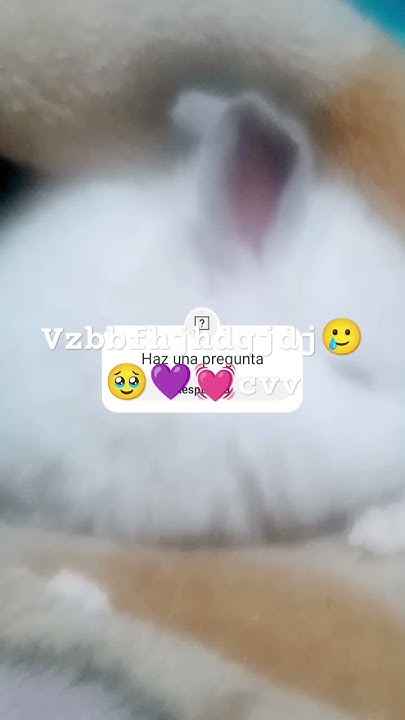 15 de junio de 2024 - YouTube