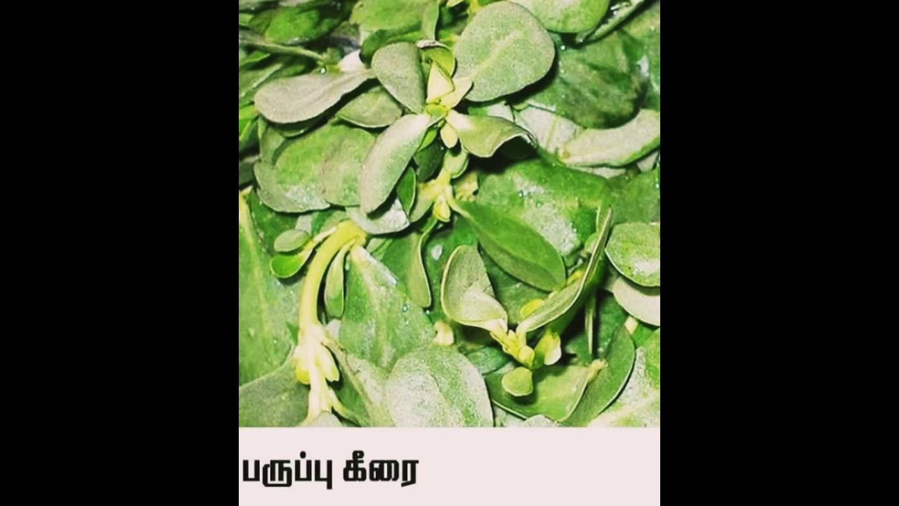 Keerai Vagaigal!!!! (Types of Greens) - YouTube