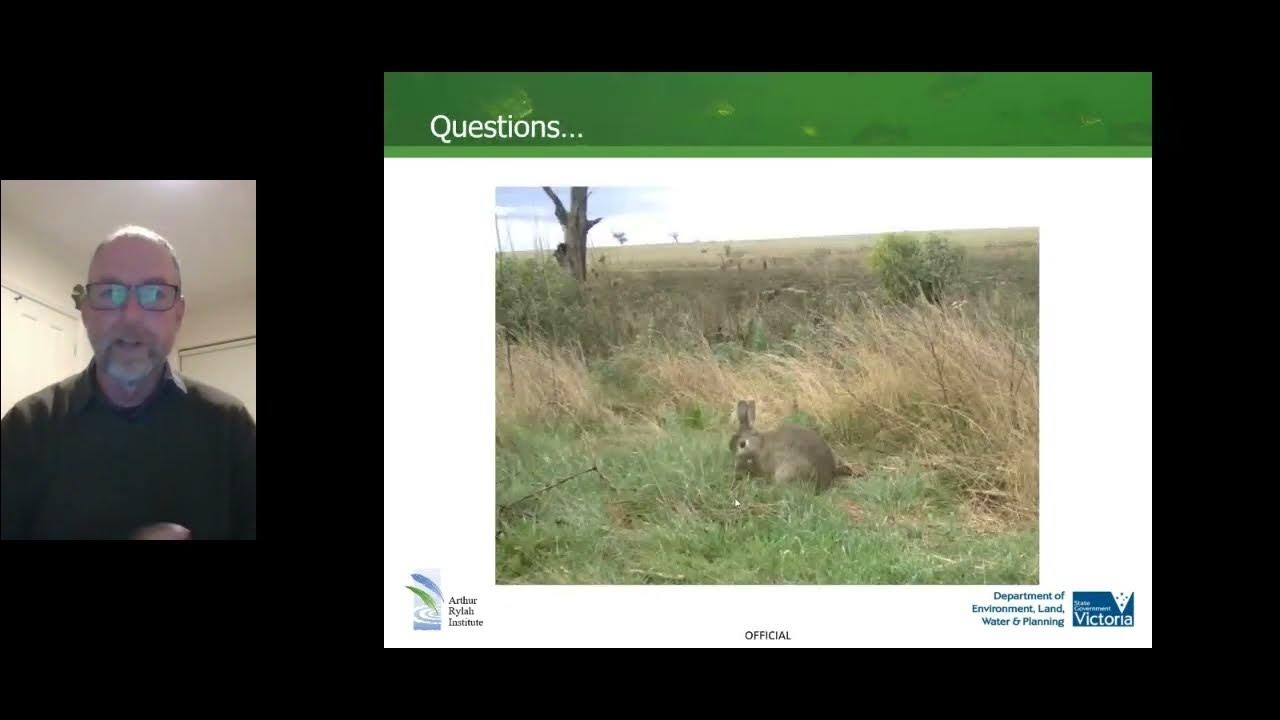 Dr Dave Ramsey | Impacts of two novel strains of rabbit haemorrhagic disease virus on wild ...