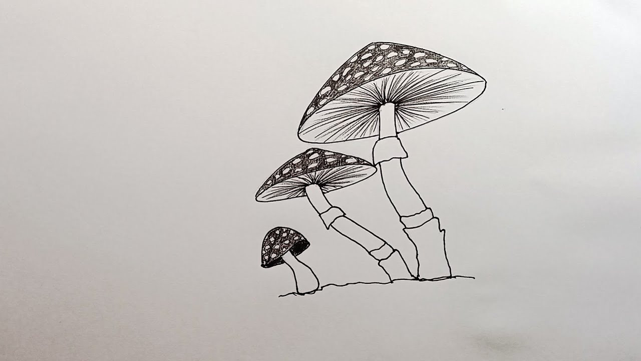 How to Draw Mushroom | Very Easy Mushroom Drawing Tutorial | Step by ...