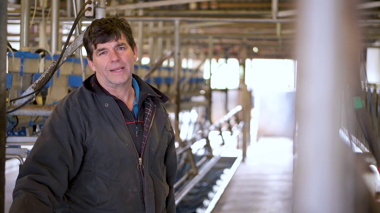 Introducing Bridge Farm – Farm Overview with David Cotton - YouTube