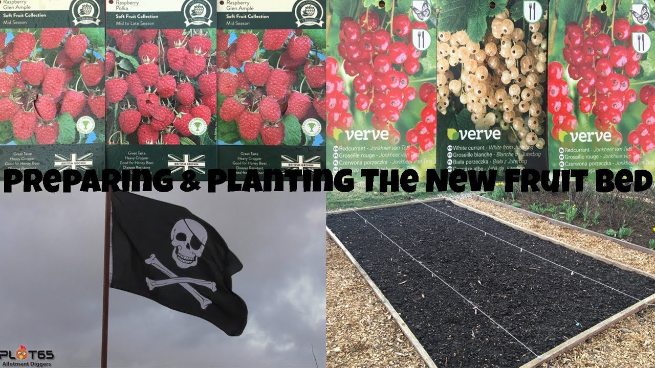 Preparing & Planting The New Fruit Bed - YouTube