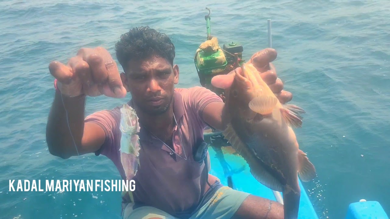 HANDLINE FISH CATCHING VIDEO IN SEA - YouTube