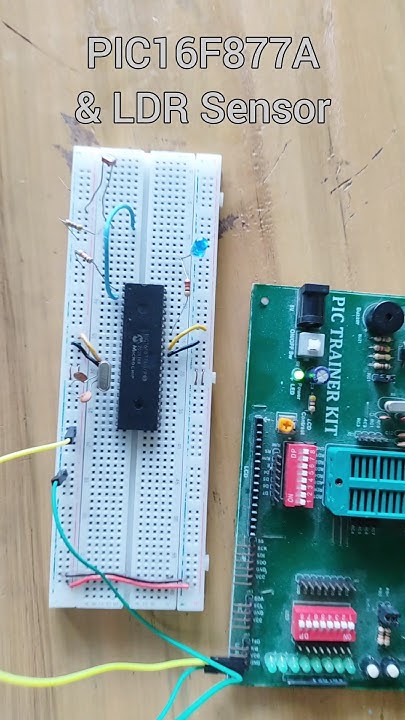 How to Use LDR Sensor with PIC Microcontroller | PIC16F877A Microcontroller #pic16f877a - YouTube