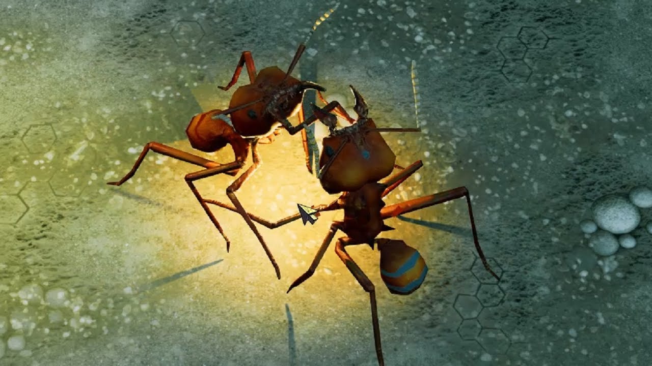 Ant vs Ant Duals - Empires of the Undergrowth - YouTube