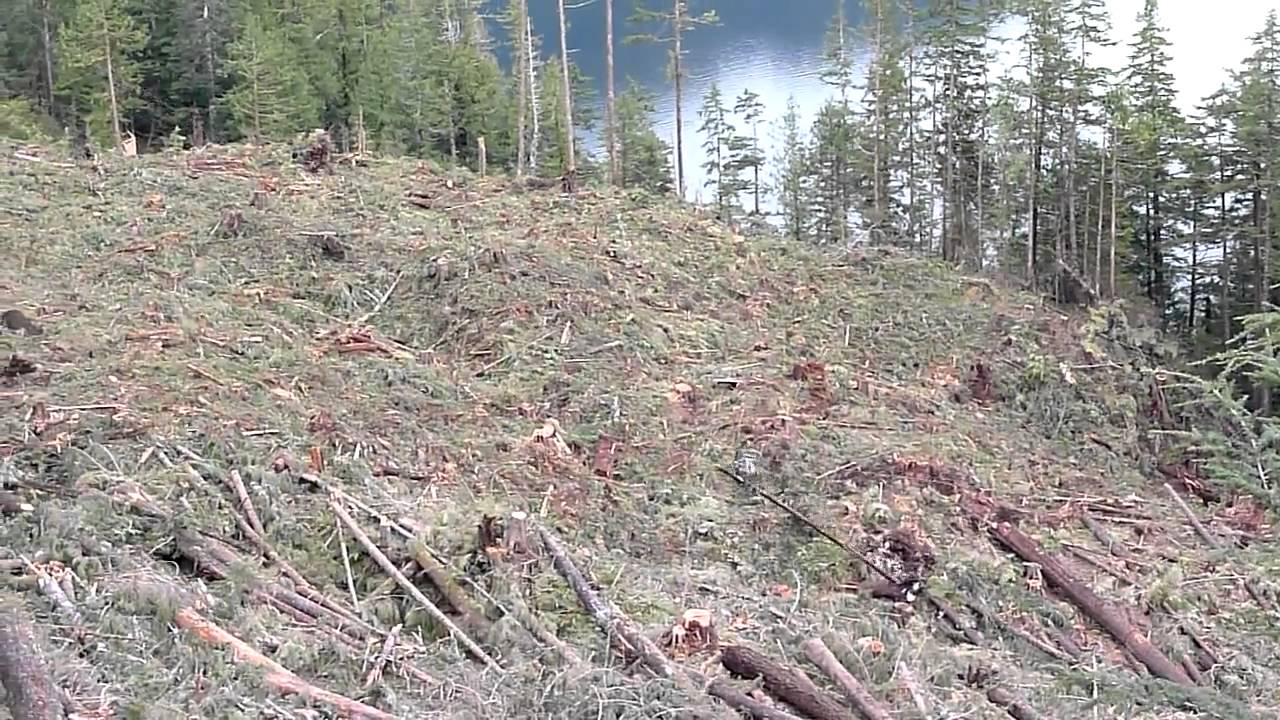 Cypress 7280 grapple yarder, Olympic Forest Products - YouTube