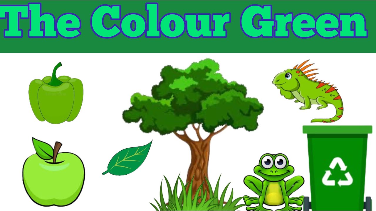 The Color Green! | Fun Learning for Kids | - YouTube