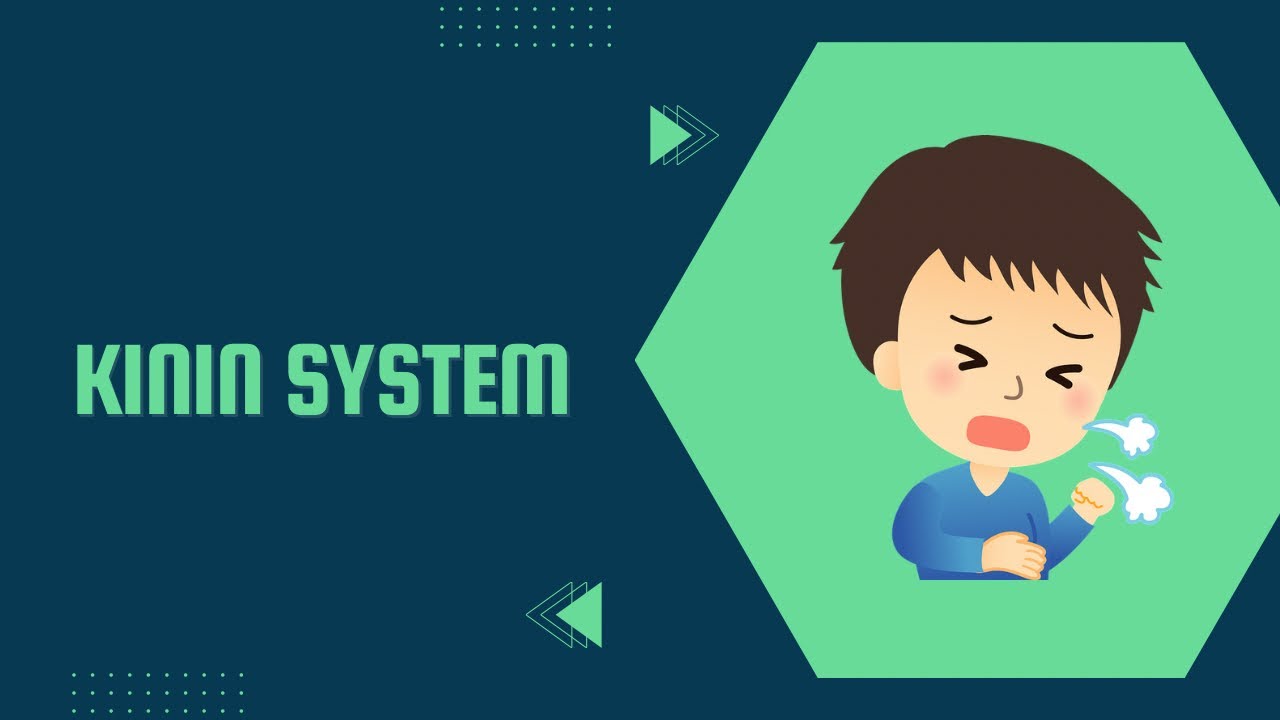 Kinin system | pathology | MBBS - YouTube