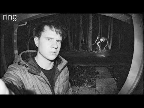Investigating Strange Creatures Caught on Camera