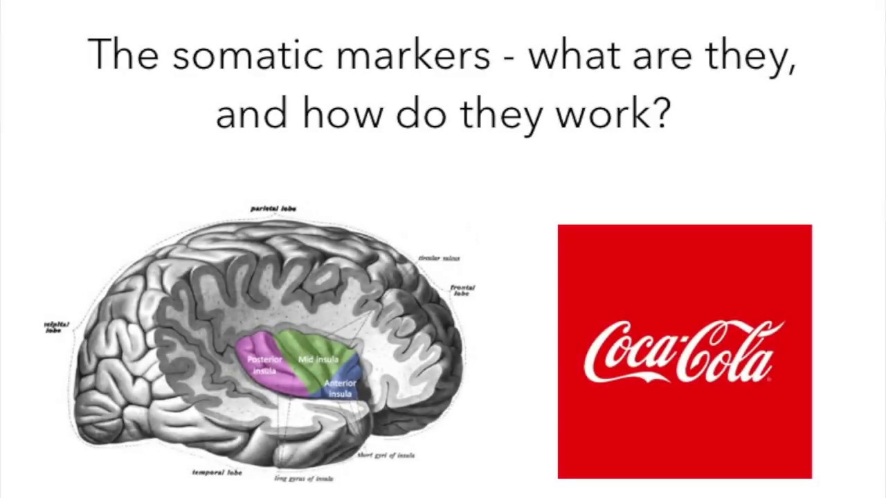 Why do we BUY what we buy? SOMATIC MARKER HYPOTHESIS in 30 seconds ...