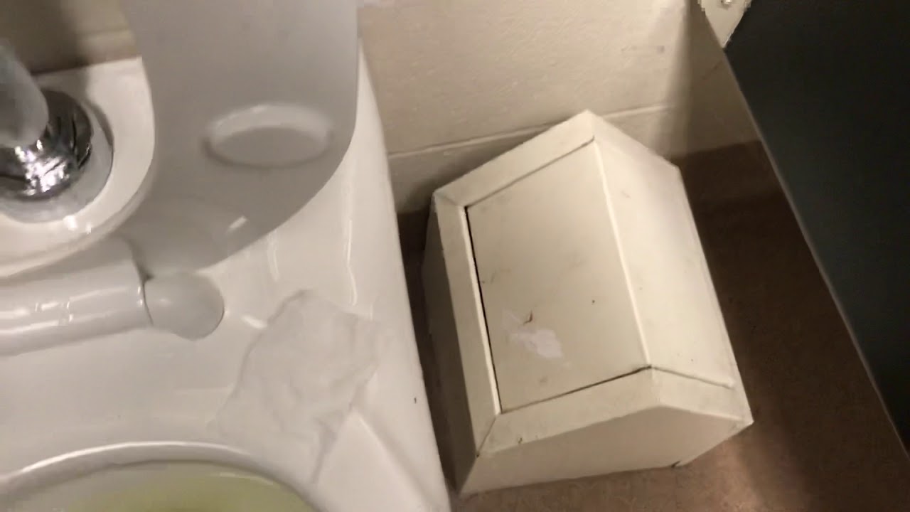 Different view of a New Kohler Kingston flushing (LCISD Guy K. Traylor ...