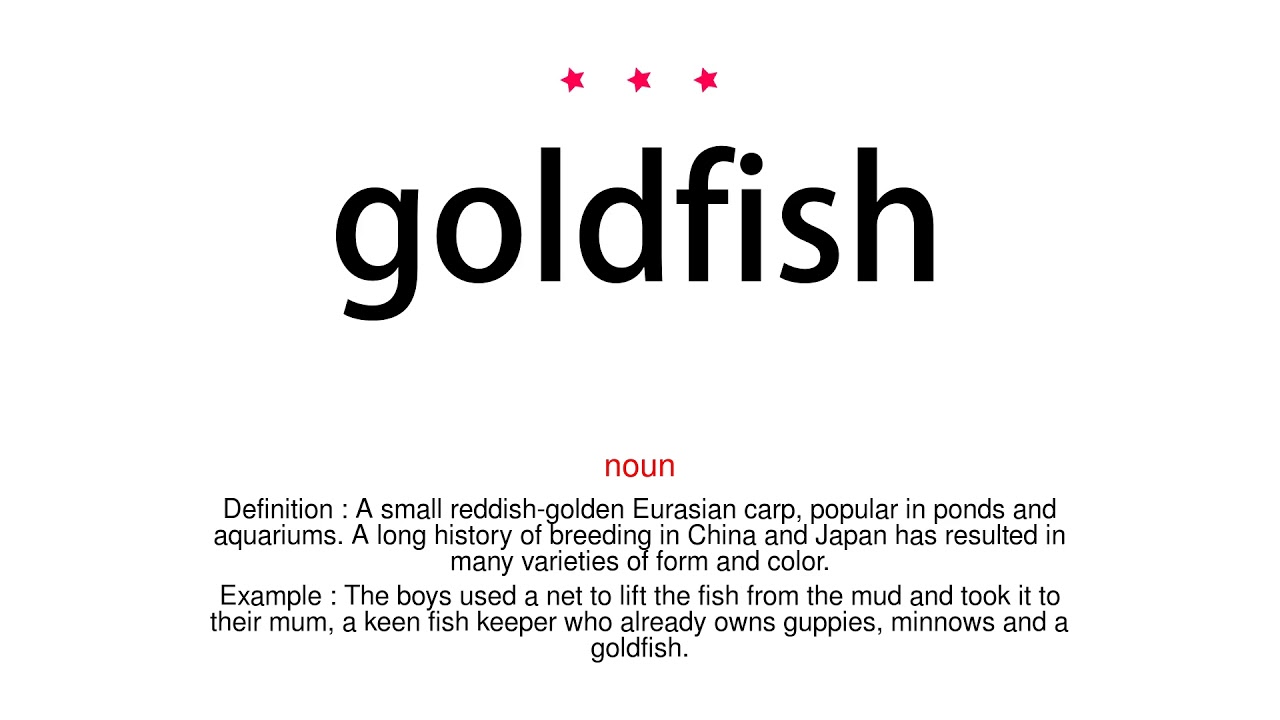 How to pronounce goldfish - Vocab Today - YouTube