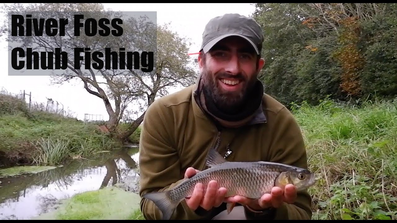 River Foss Chub Fishing - YouTube