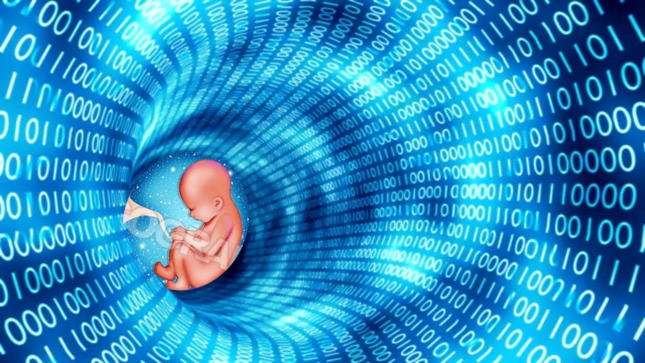 Découvrir Le Numéro de son Chemin De Vie Et Sa Signification ! - Blog ...