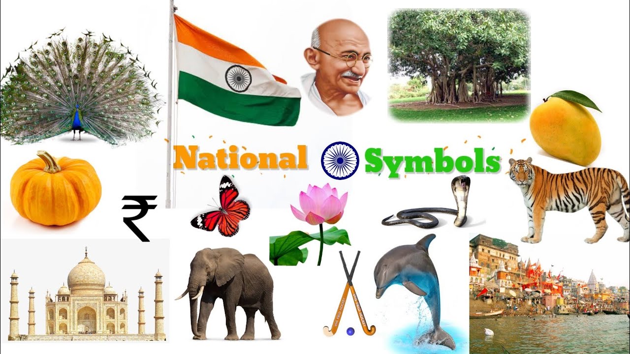 National Symbols of India|National Bird/animal/fruit/flower/vegetable|# ...