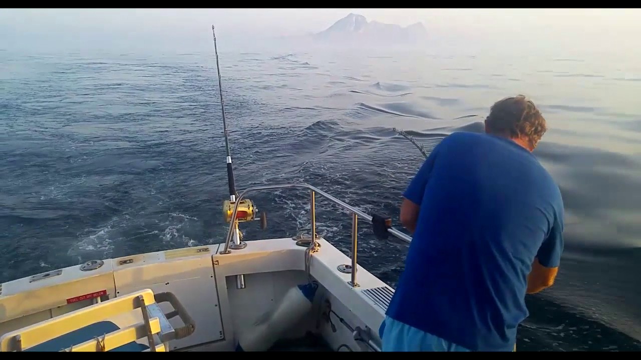 Gibraltar Charter Fishing for Bluefin Tuna - YouTube