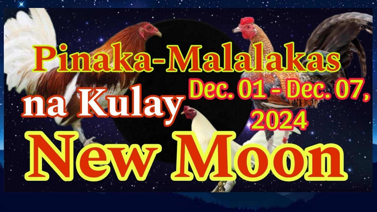 Top 7 Malalakas na Kulay Balahibo ng Manok/Mga Kulay ng Balahibo na ...