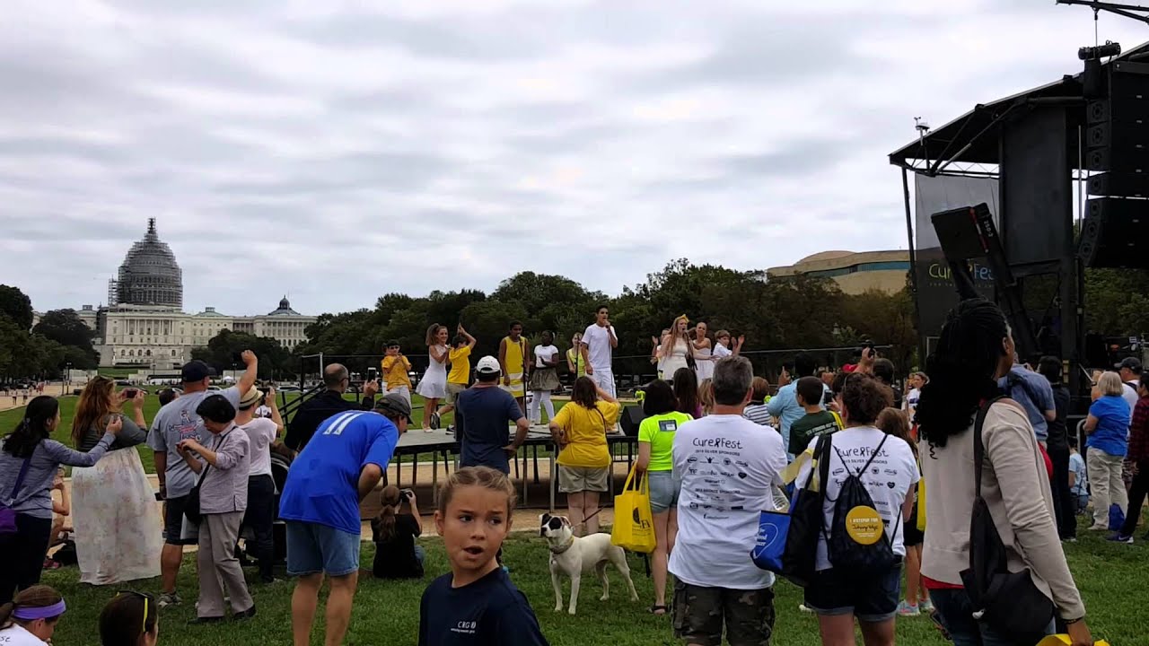 Curefest DC 2015 - This is my fight song - YouTube