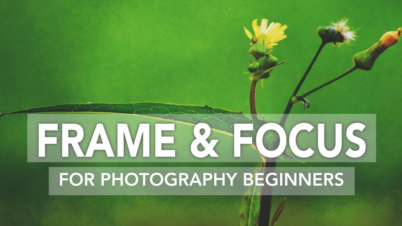 How To FRAME AND FOCUS - Photography Tutorial - YouTube