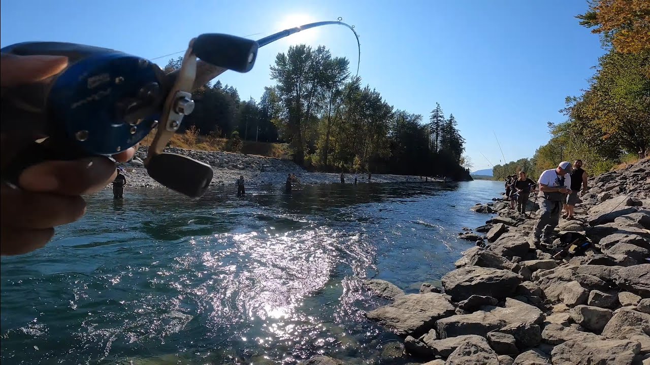 SALMON FISHING BC'S MOST CROWDED RIVER | BRITISH COLUMBIA - YouTube