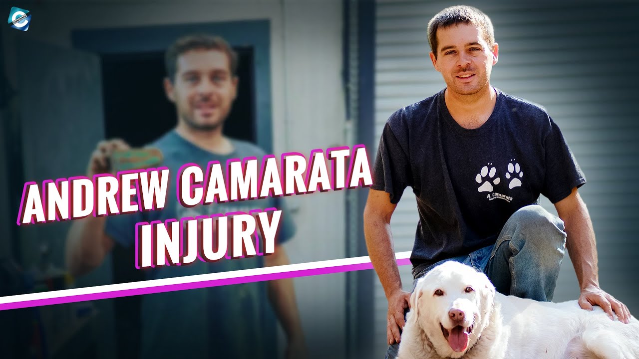 What happened to Andrew Camarata? Andrew Camarata Latest Updates - YouTube