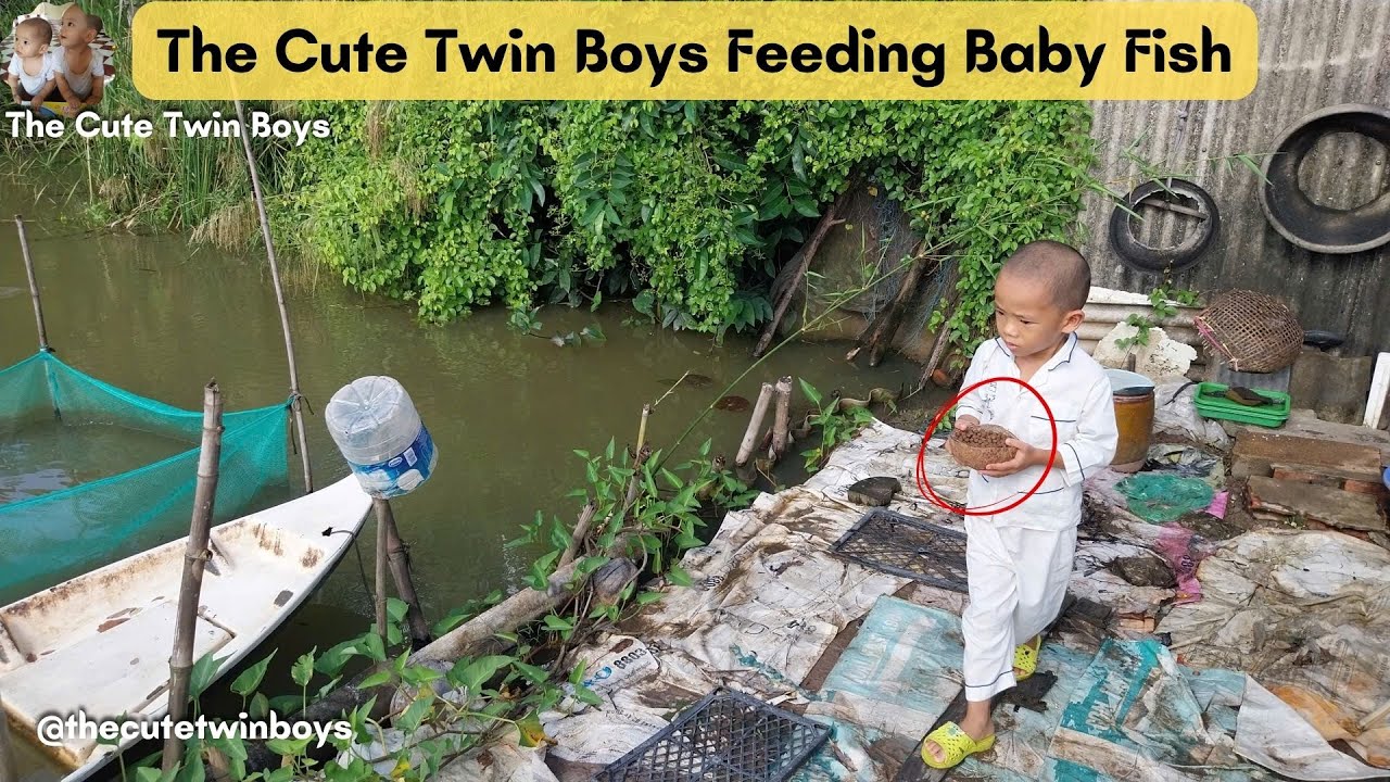 The Cute Twin Boys Feeding Baby Fish | Sweetest Farm Moments Ever # ...