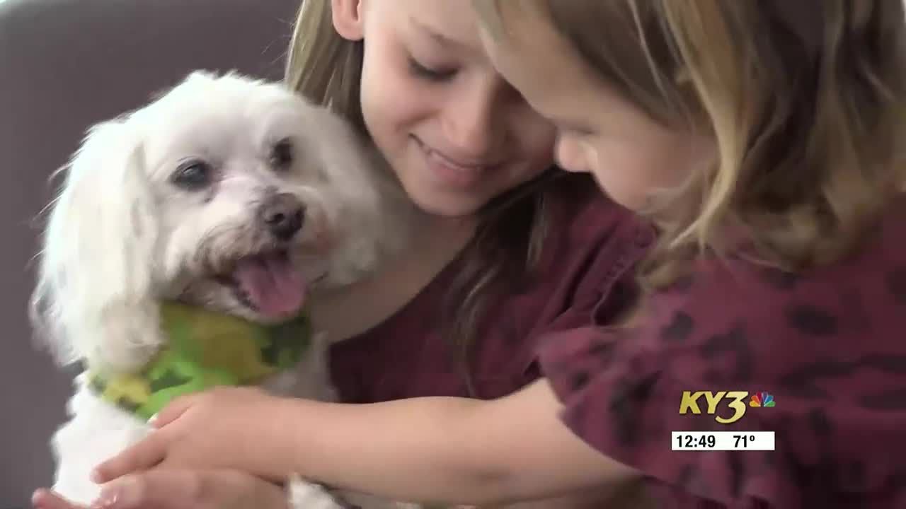 Leigh's Lost and Found: Missing Maltese found after seven months - YouTube