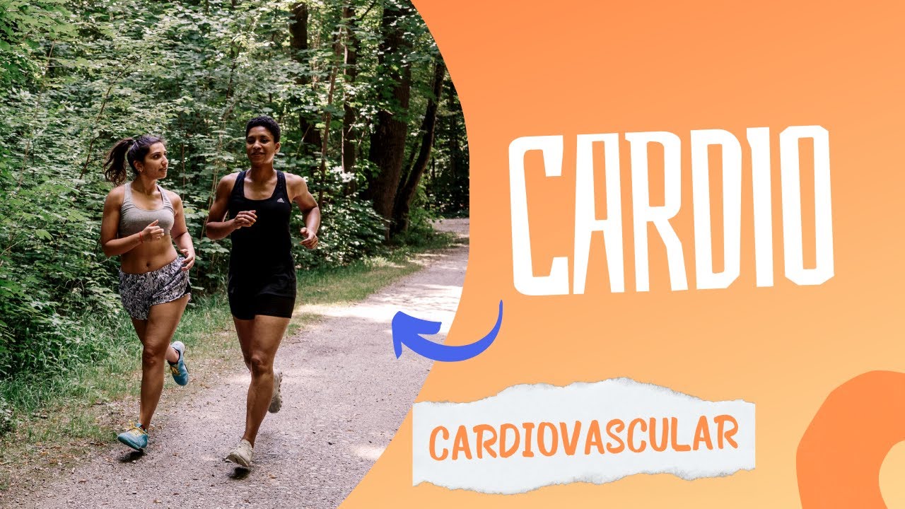 Entrenamiento cardiovascular: Cómo mejorar tu salud con ejercicios ...