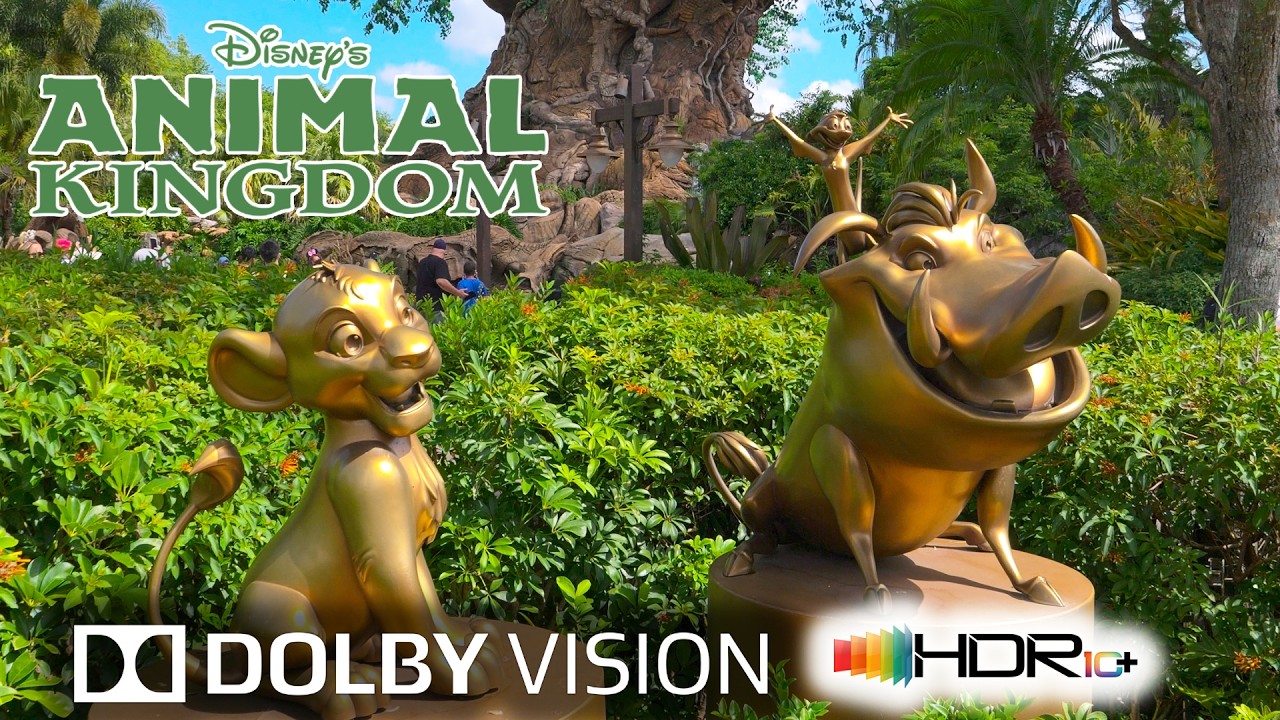 Disney Animal Kingdom Tour in Dolby Vision - YouTube