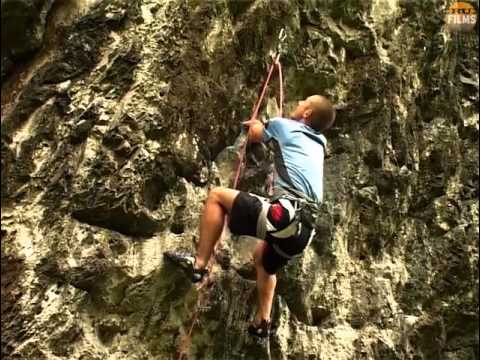 22 Case Study Kinsey - YouTube