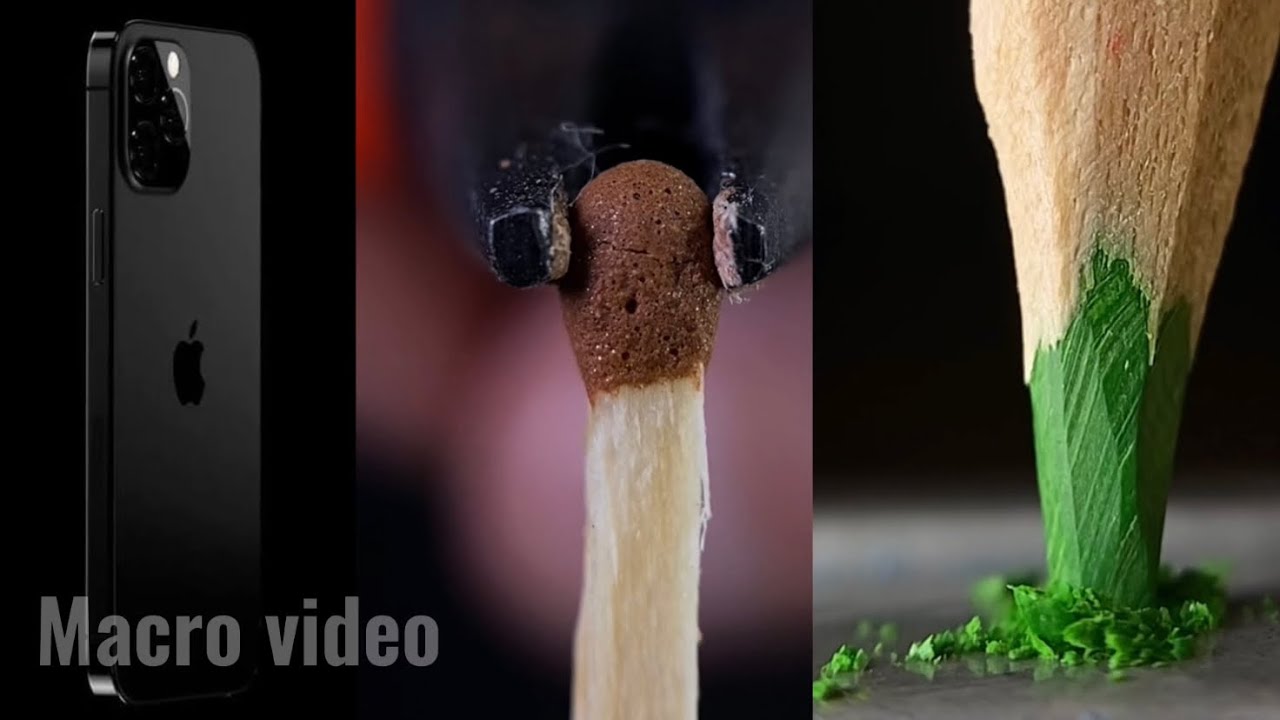 Macro video from iPhone camera - YouTube