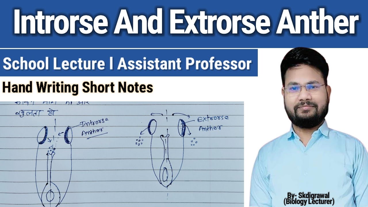 Introrse and Extrorse Anther Difference l what is Introrse and Extrorse ...