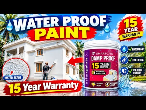 Paint Karo Or Bhul Jao Damp Proof | Waterproof Paint