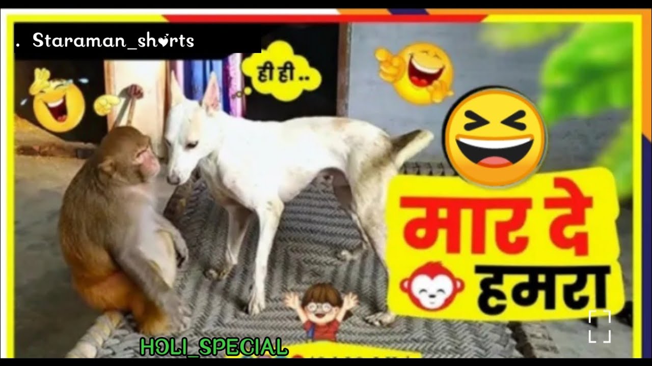 Holi Special Funny Dog Monkey FunnyClip For 🤣😂 Hasta Raho Mast Raho 😆 # ...