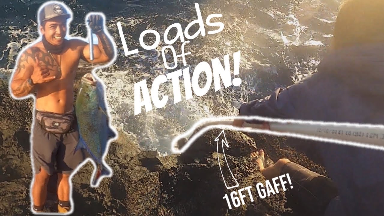 BIG FISH! Epic YouTuber collaboration! Hawai’i Fishing. - YouTube