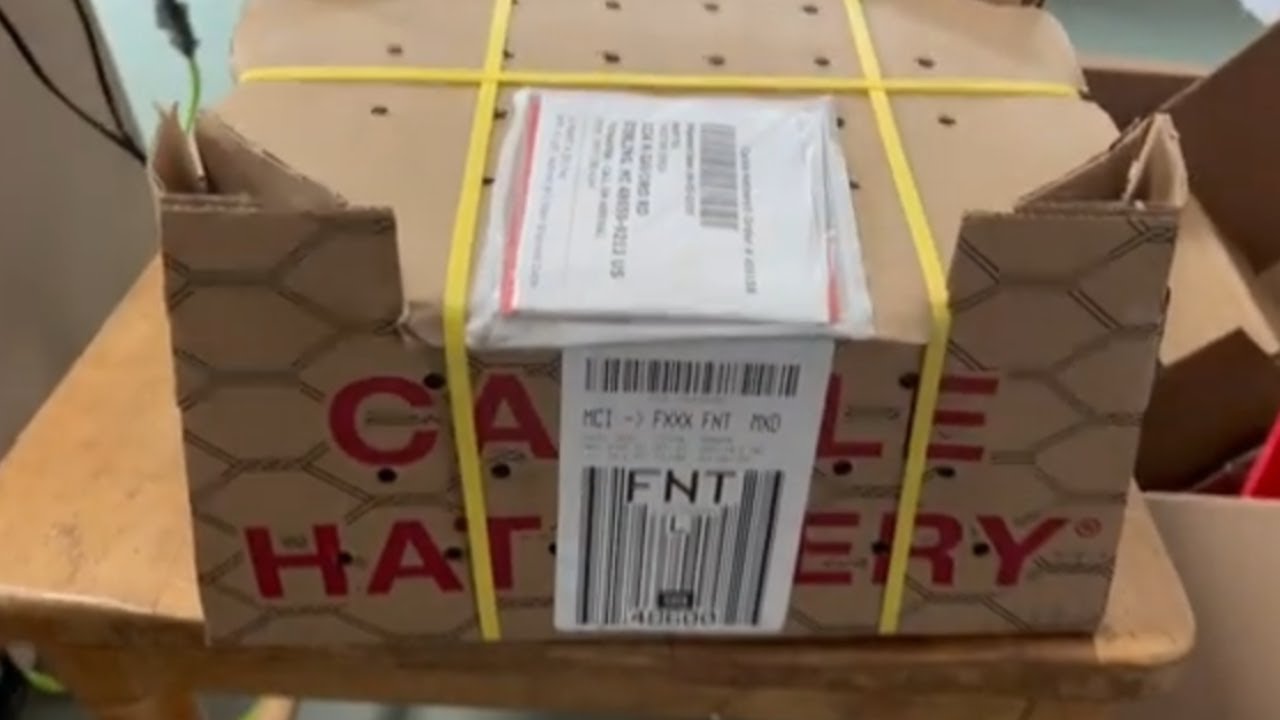 My FIRST Time Unboxing Chicks from Cackle Hatchery - YouTube