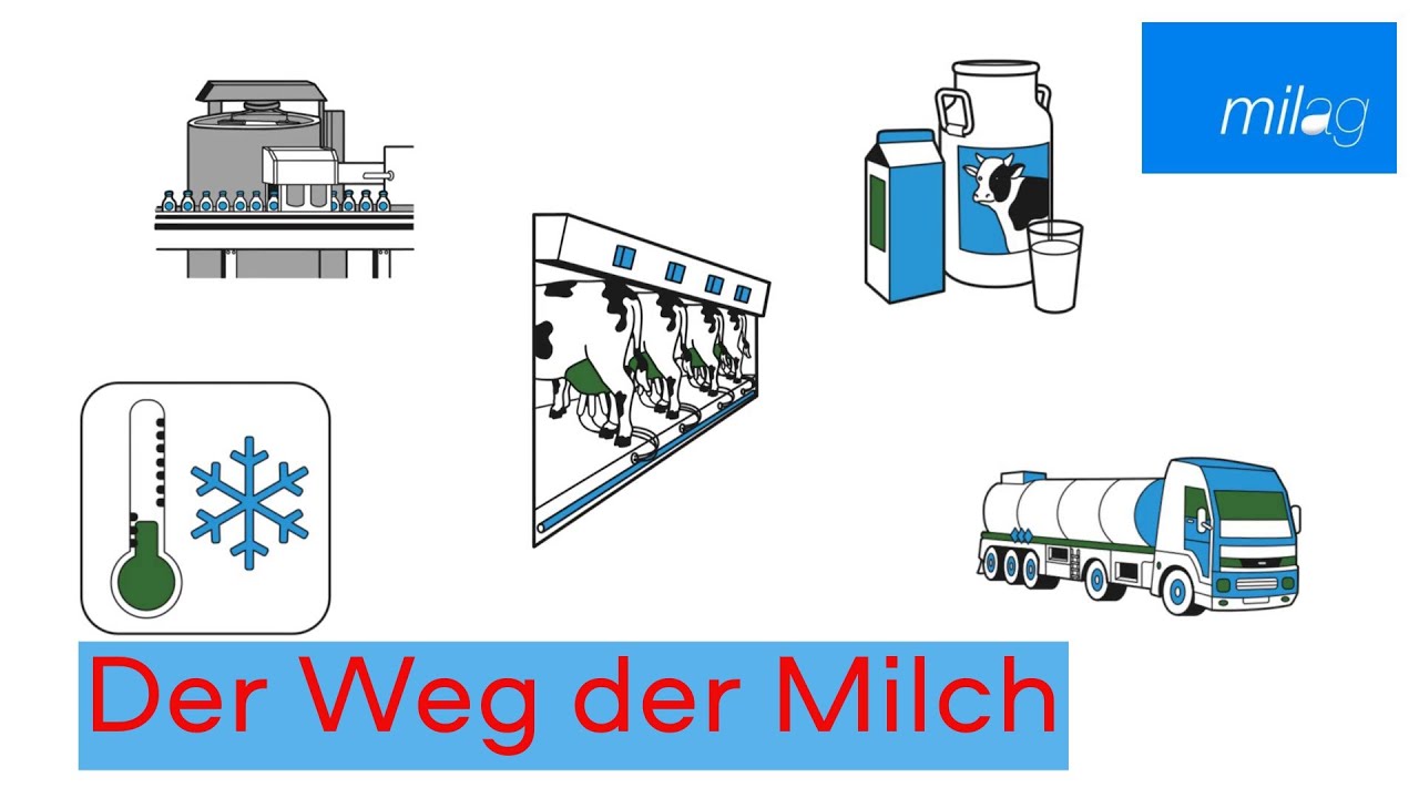 Der Weg der Milch vom Betrieb in die Küche: Ein Erklärvideo - YouTube