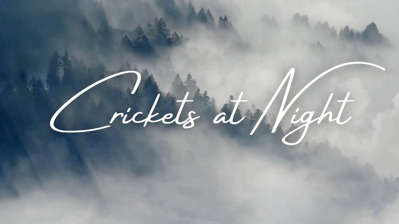 Relaxing Cricket Sounds for Falling Asleep | White Noise of Chirping ...