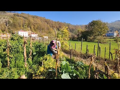 🍁 Köyde Sonbahar Hazırlığı! Bahçe Temizliği ve Huzurlu Köy Vlogu