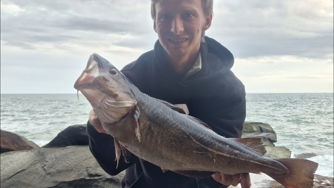Best cod of the summer so far!! - YouTube