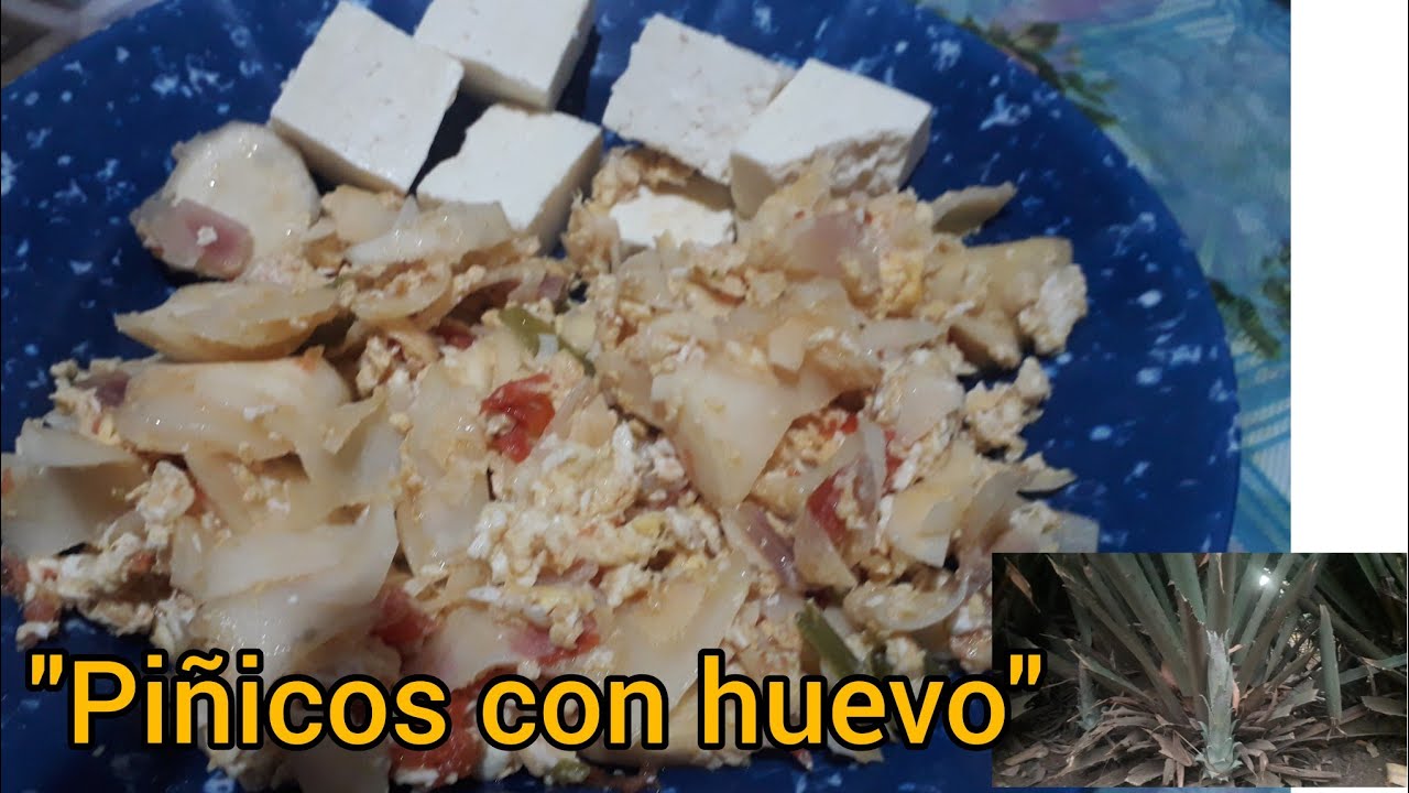 COMO HACER PIÑICOS CON HUEVO... - YouTube